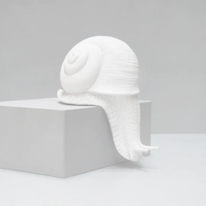 Shelf Snail – More Than News